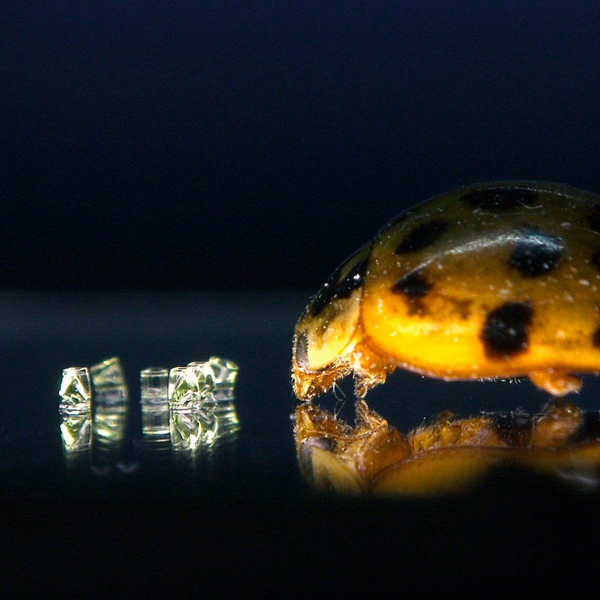 Services - Printoptix