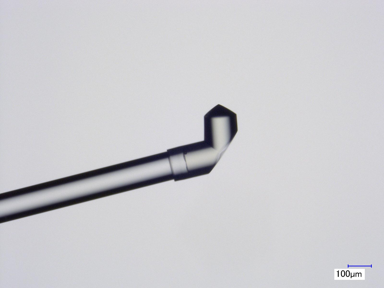 Fiber Tip Optics - Printoptix